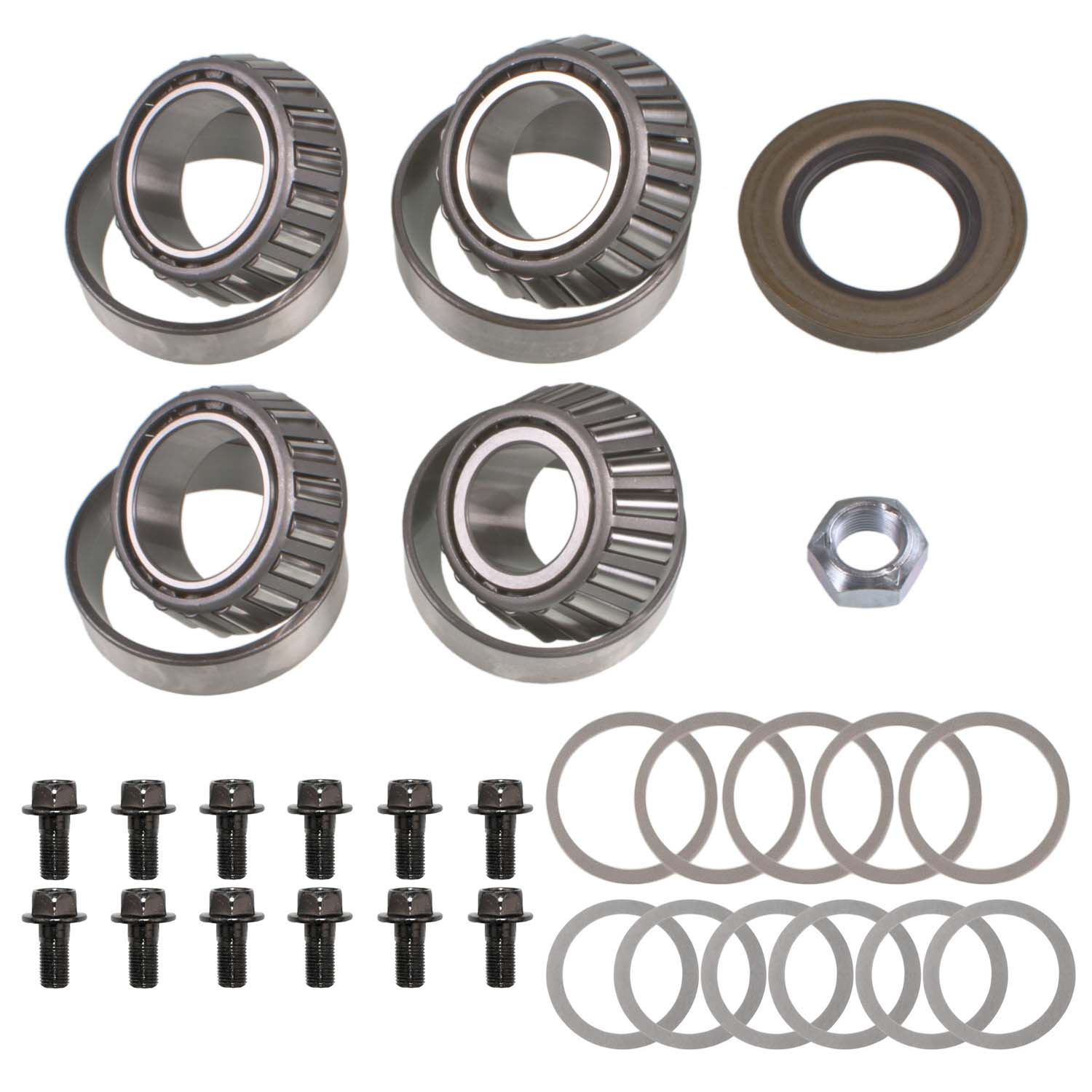 Differential Master Bearing Kit - Koyo – My Store